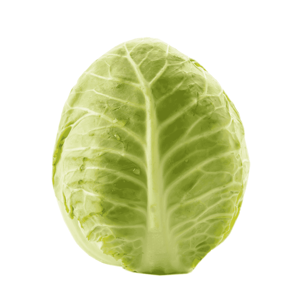 Repollo Por Media Libra