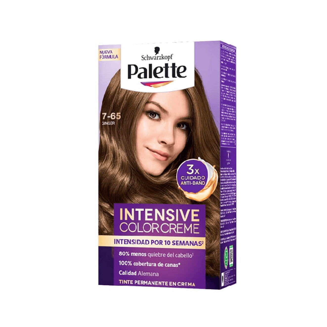 Tinte Palette Ginger 50 GR