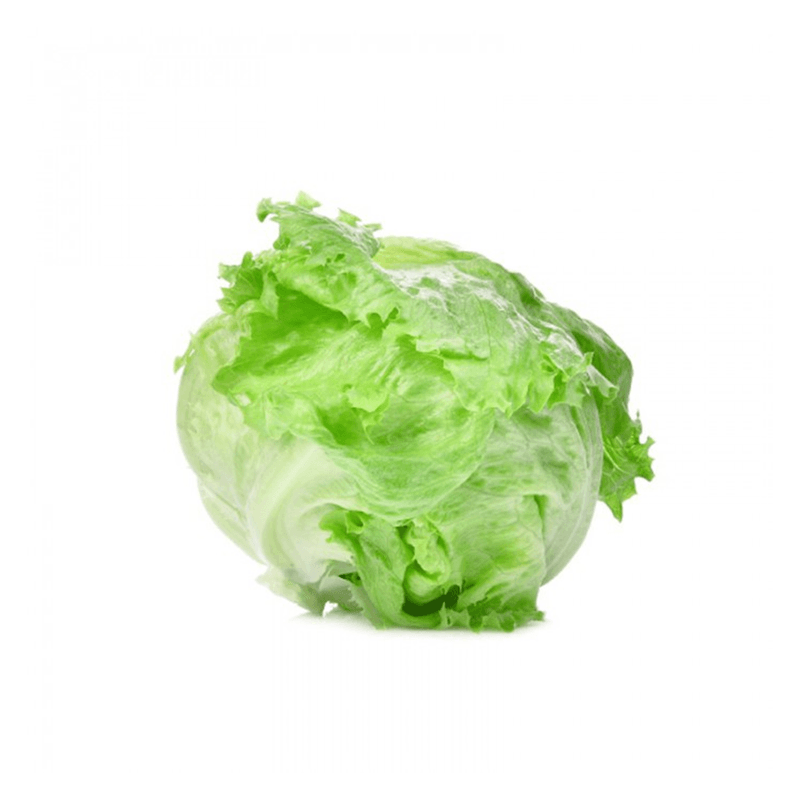 Lechuga Xtra Iceberg Jumbo